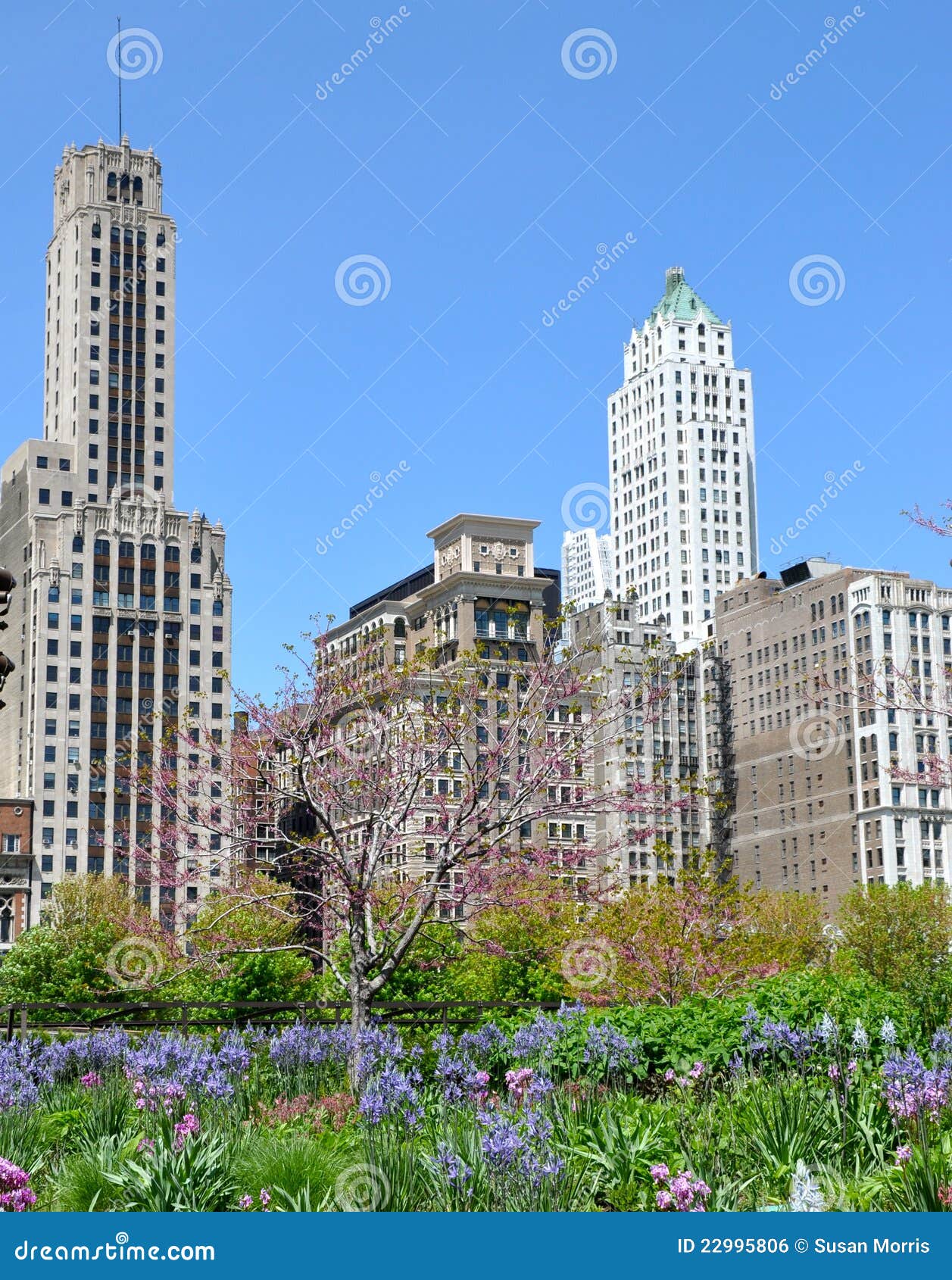 Spring in Chicago stock photo. Image of blossom, meadow - 22995806