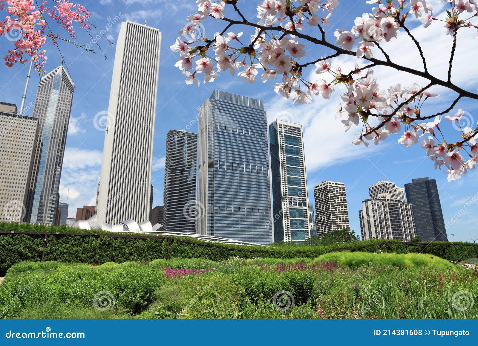 Spring in Chicago city stock photo. Image of north, states - 214381608