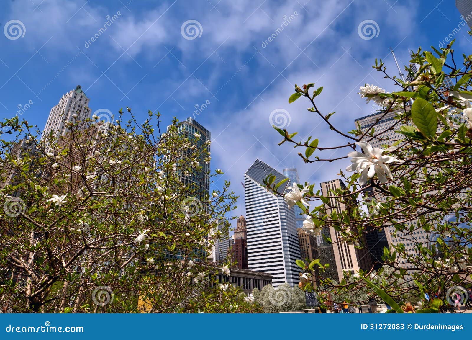 Spring in Chicago stock image. Image of seasonal, branches - 31272083