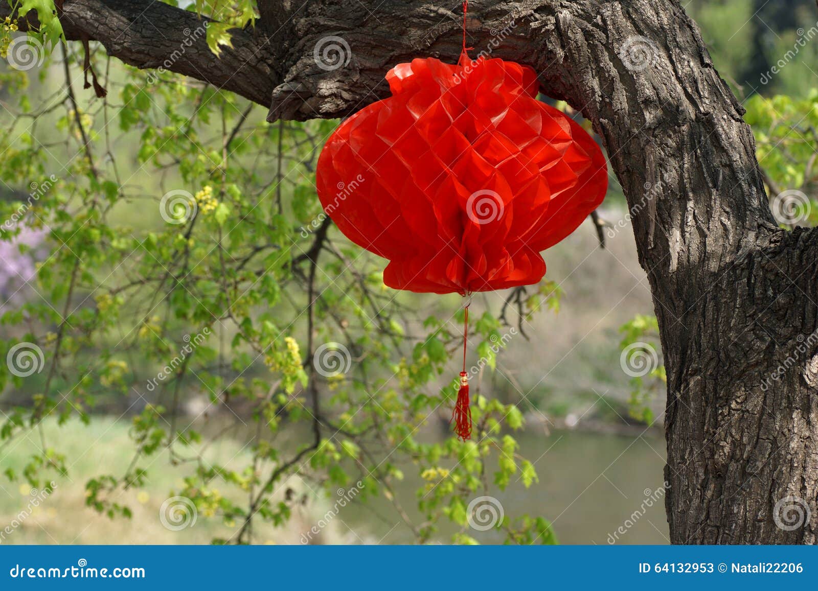 Spring in China. Red Chinese Lantern on Tree Stock Image - Image of ...