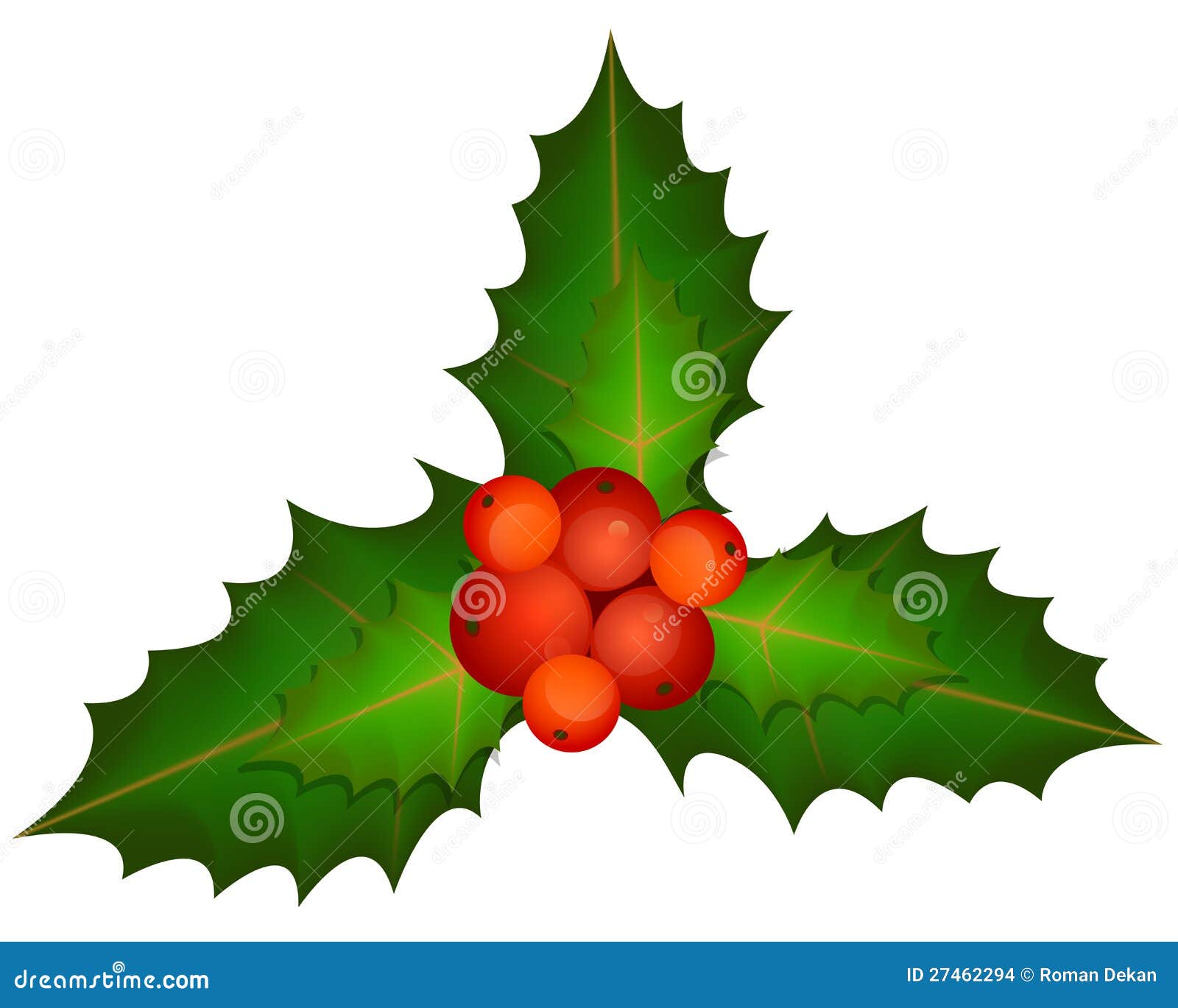 Spring of Christmas Holly stock vector. Illustration of berry - 27462294