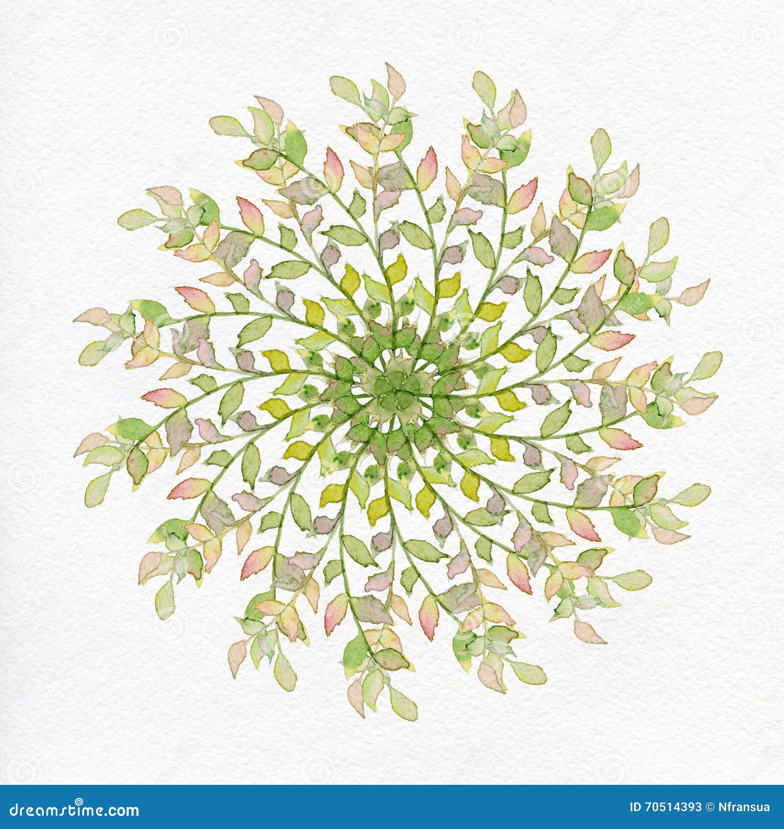 Spring Circle of Plants on a White Background Watercolor Stock ...