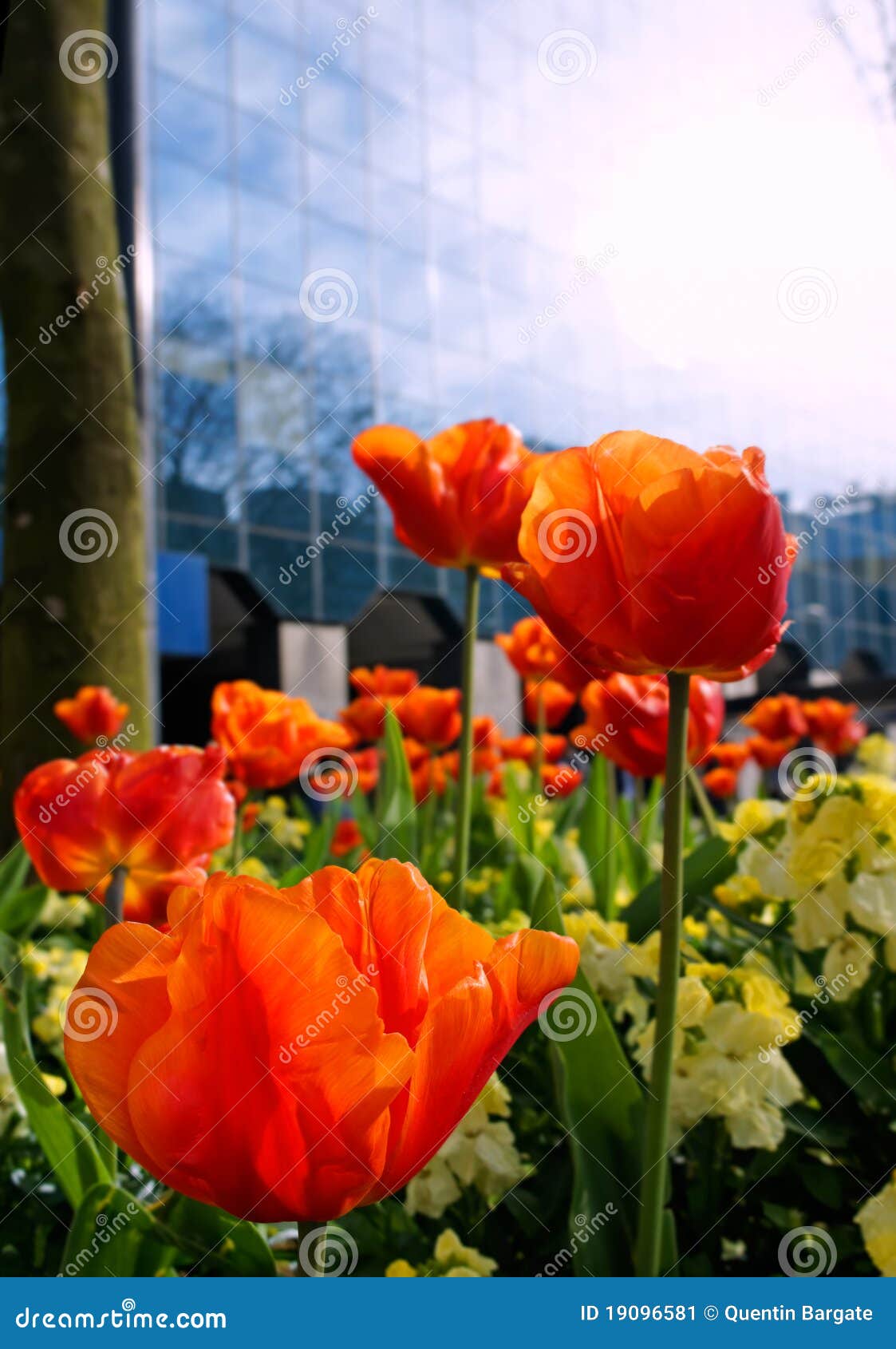 Spring in the City stock image. Image of building, municipal - 19096581