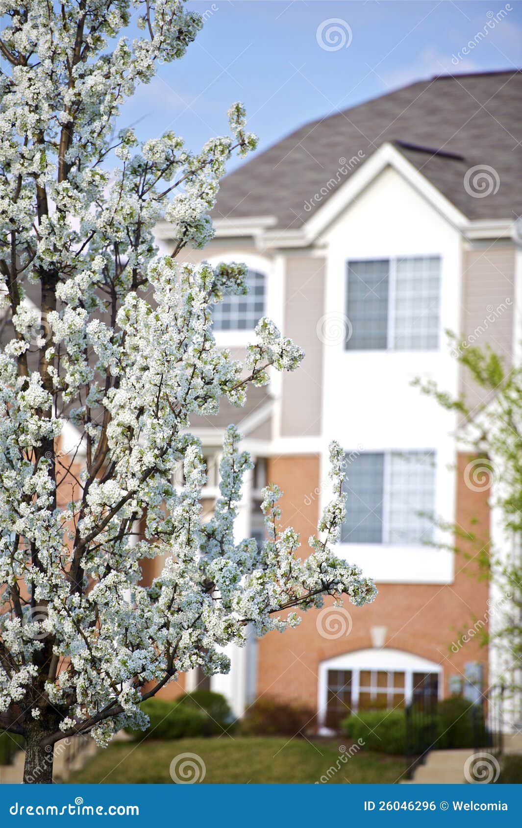 Spring in the City stock photo. Image of american, levels - 26046296