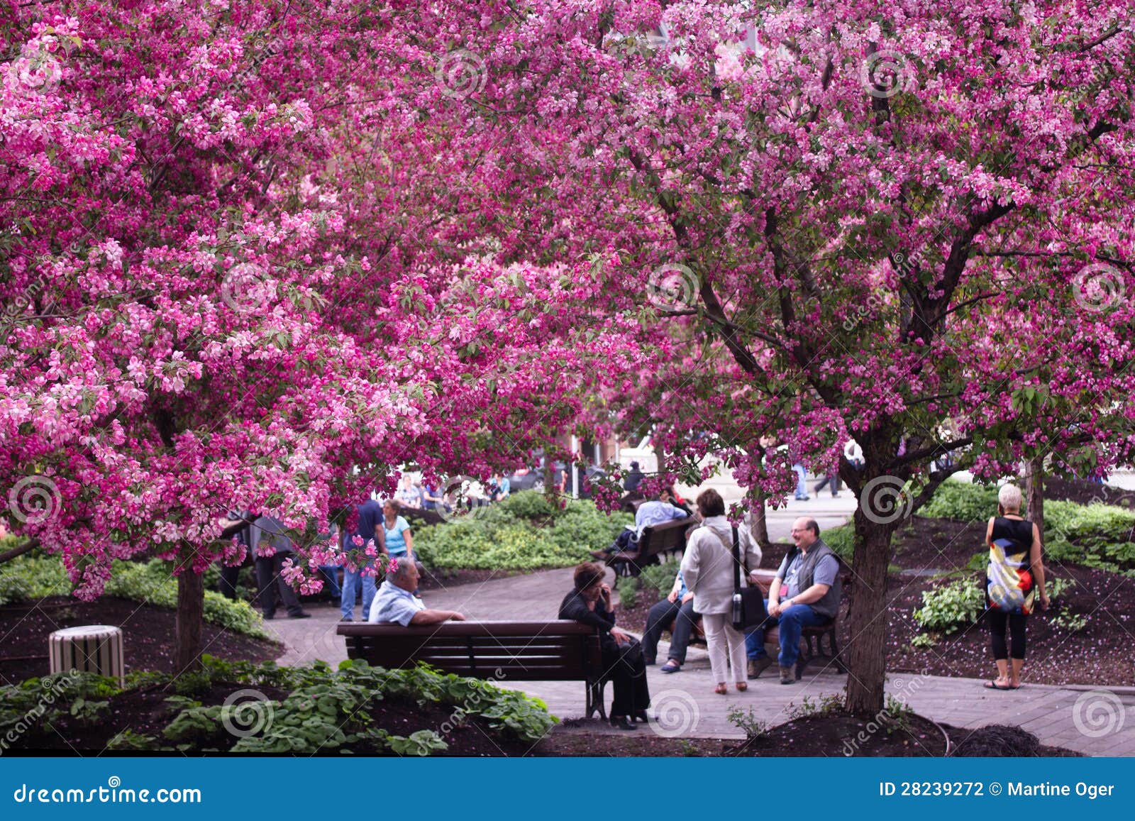 Spring in a city. editorial photography. Image of quebec - 28239272