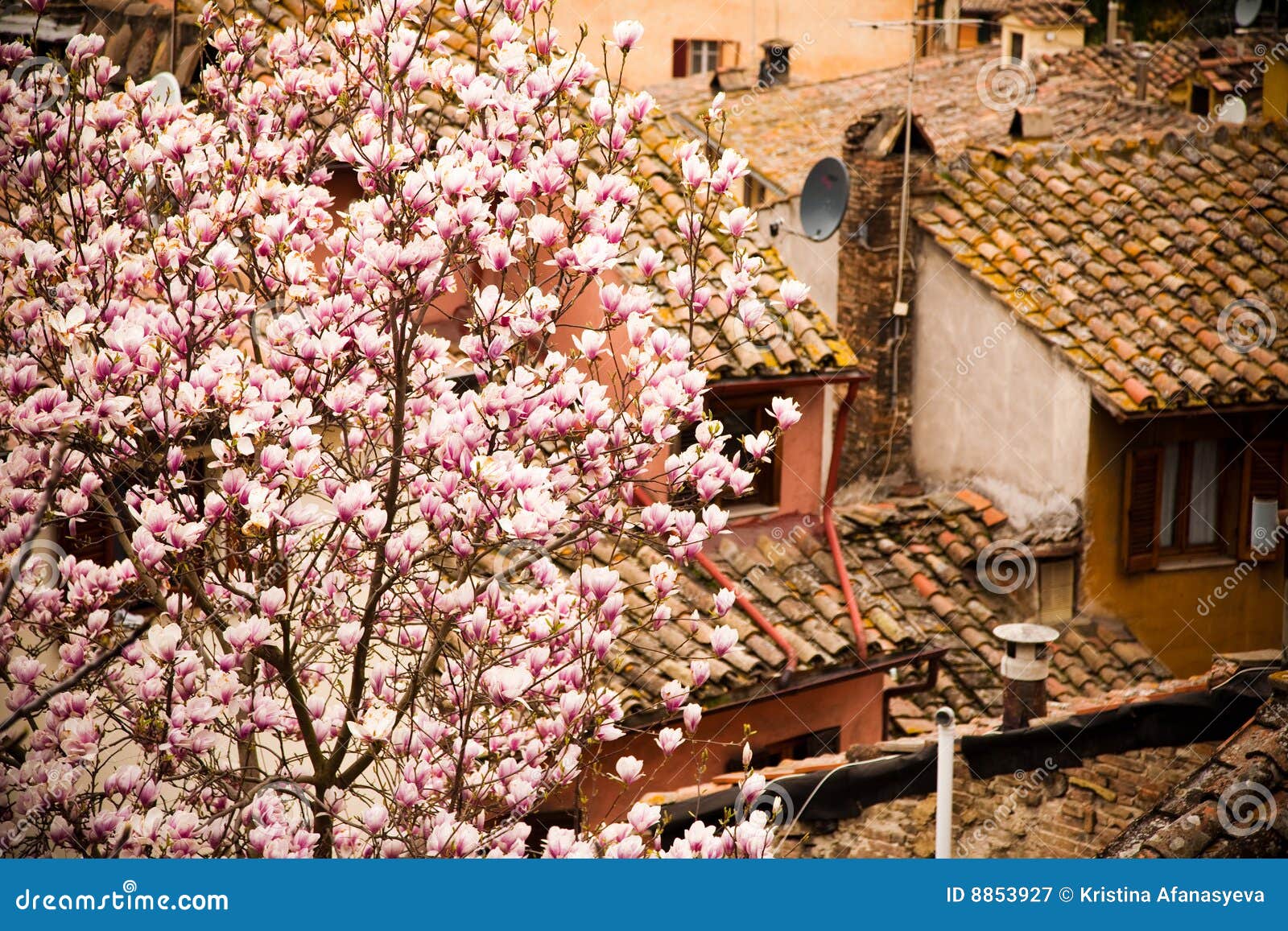 Spring in the City stock image. Image of scene, outdoors - 8853927