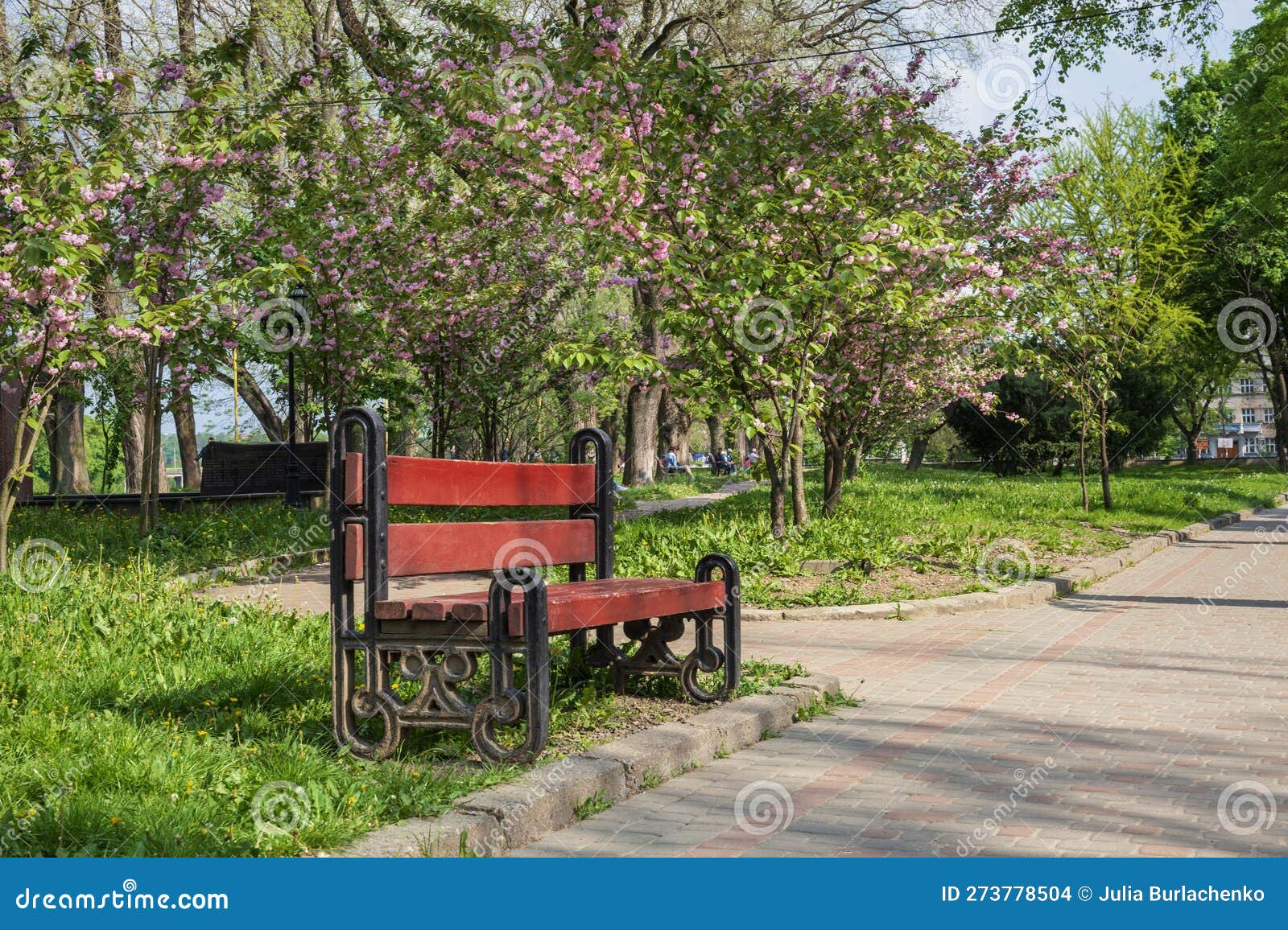 Spring in a city park stock photo. Image of footpath - 273778504