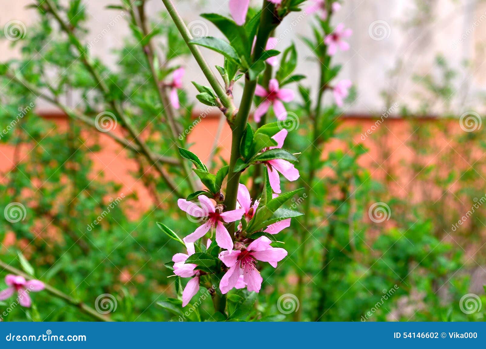 Spring in the city stock photo. Image of dull, making - 54146602