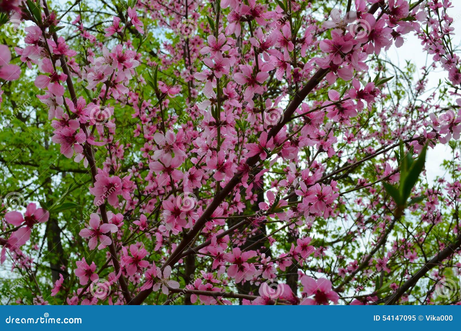 Spring in the city stock image. Image of attractive, winter - 54147095