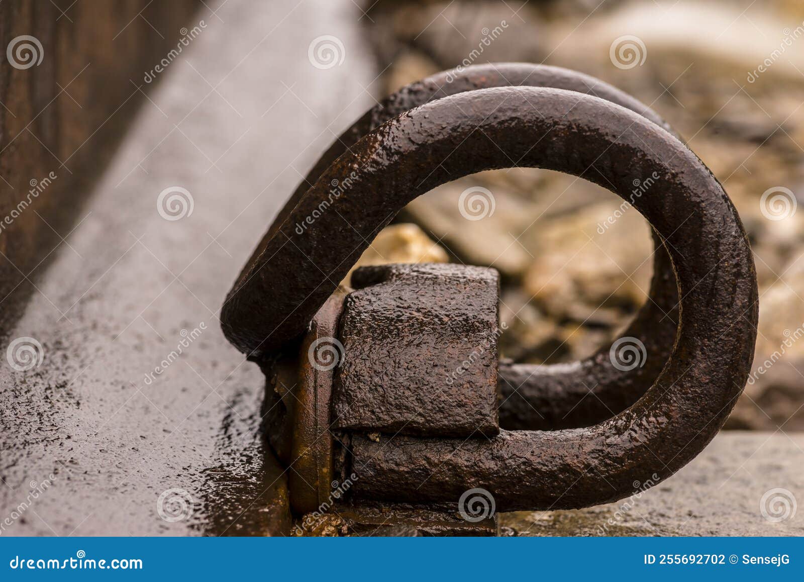 A Spring (clasp, Latch) Securing the Rail To the Sleeper Wet from Rain ...