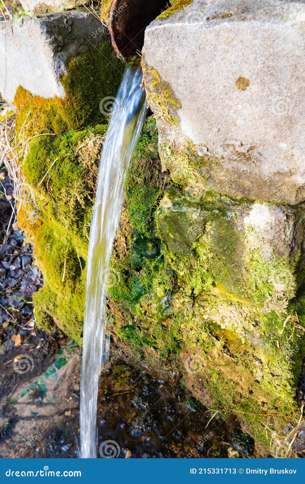 Stream of Clean Spring Water Stock Image - Image of fossil, environment ...