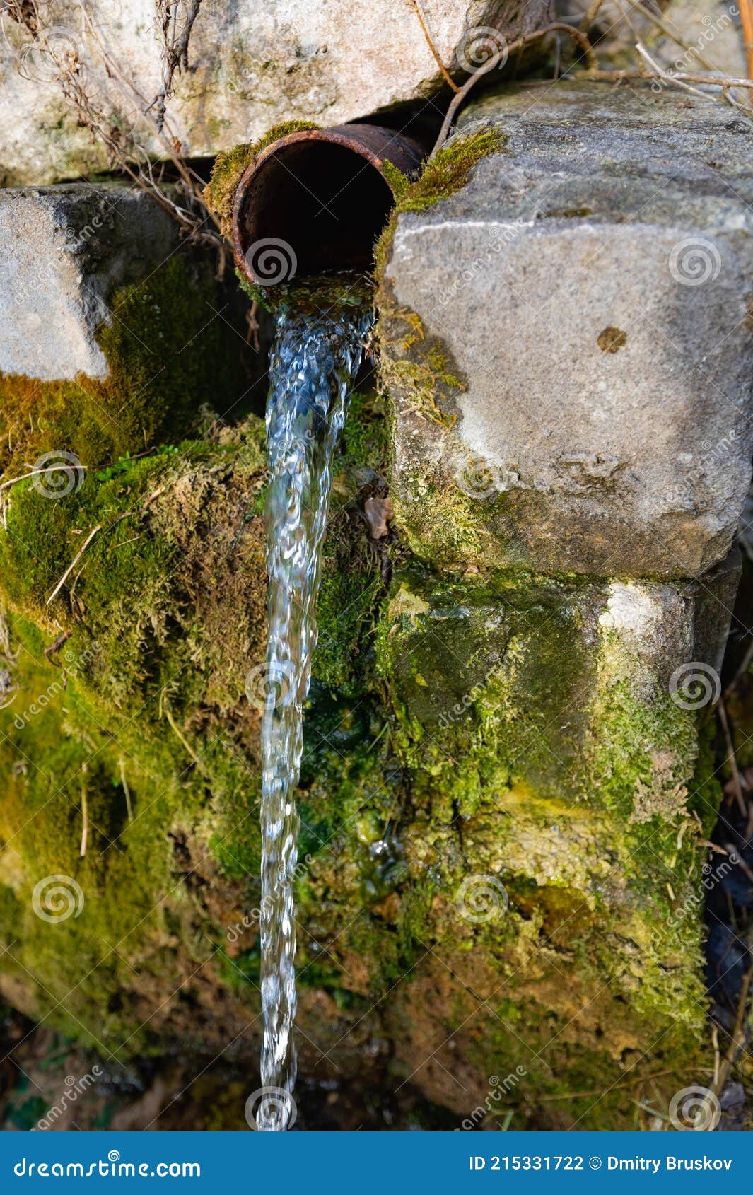Stream of Clean Spring Water Stock Photo - Image of ecological, flowing ...