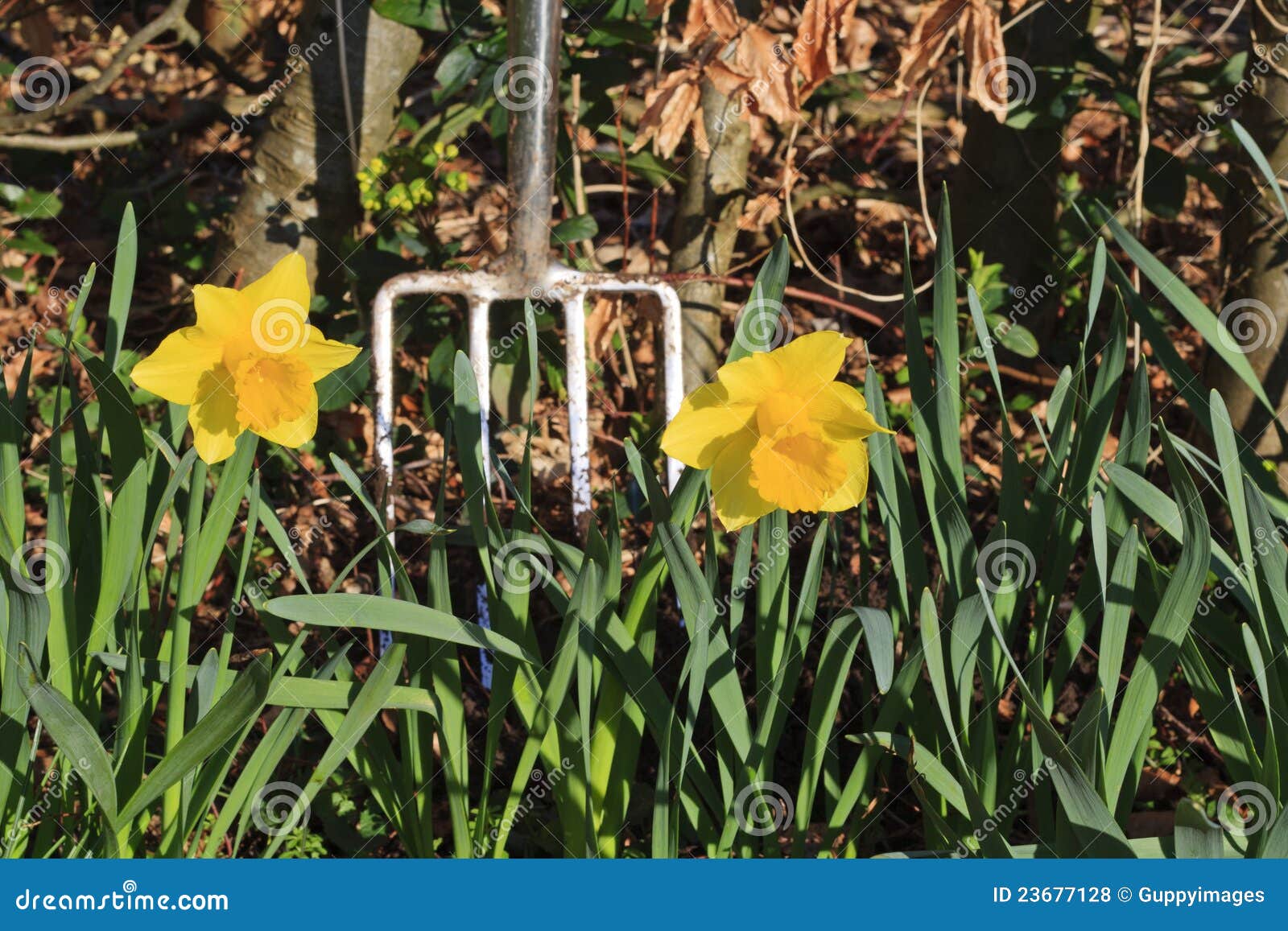 Spring clean in the garden stock photo. Image of bright - 23677128