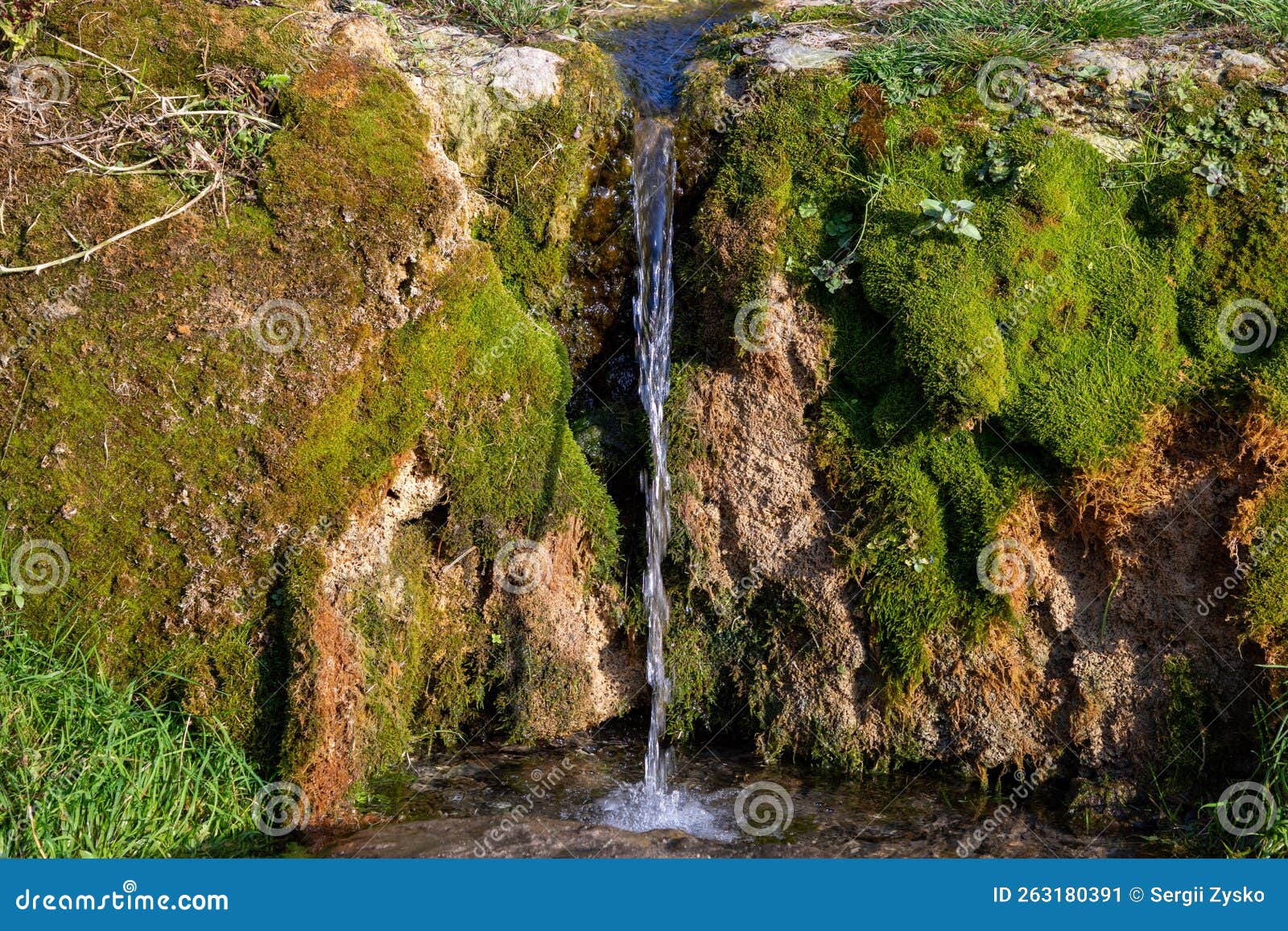 Spring with Clean Water Flowing from Stones. Mineral Water in Nature ...