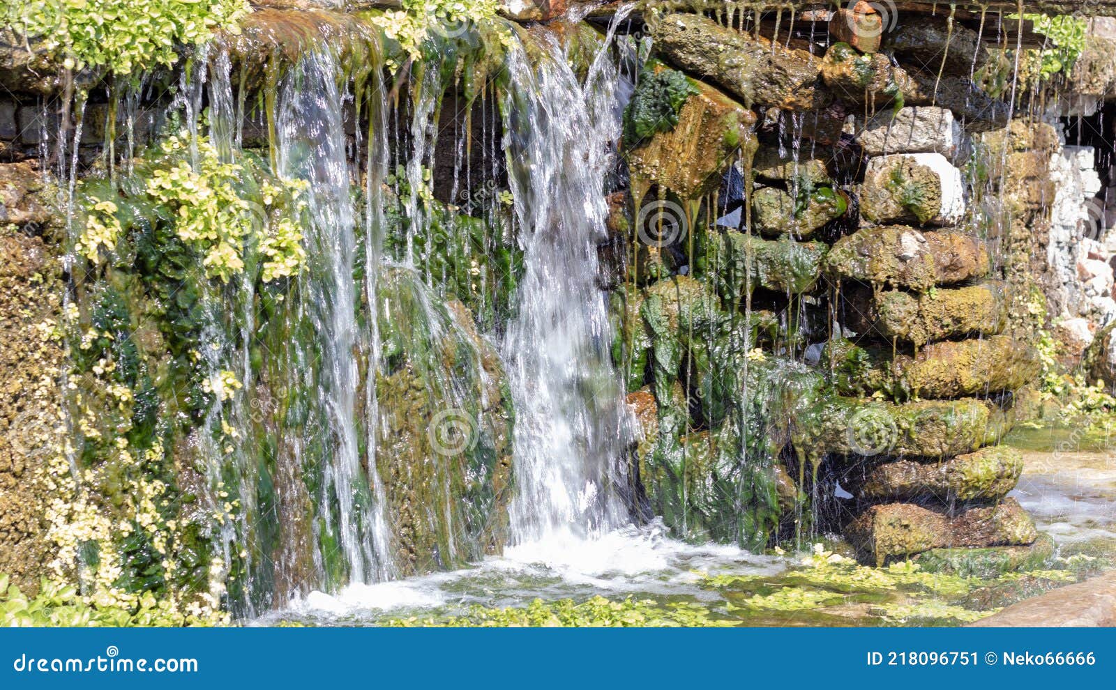 A Spring with Clean Water, Fresh Young Greenery Around Stock Image ...