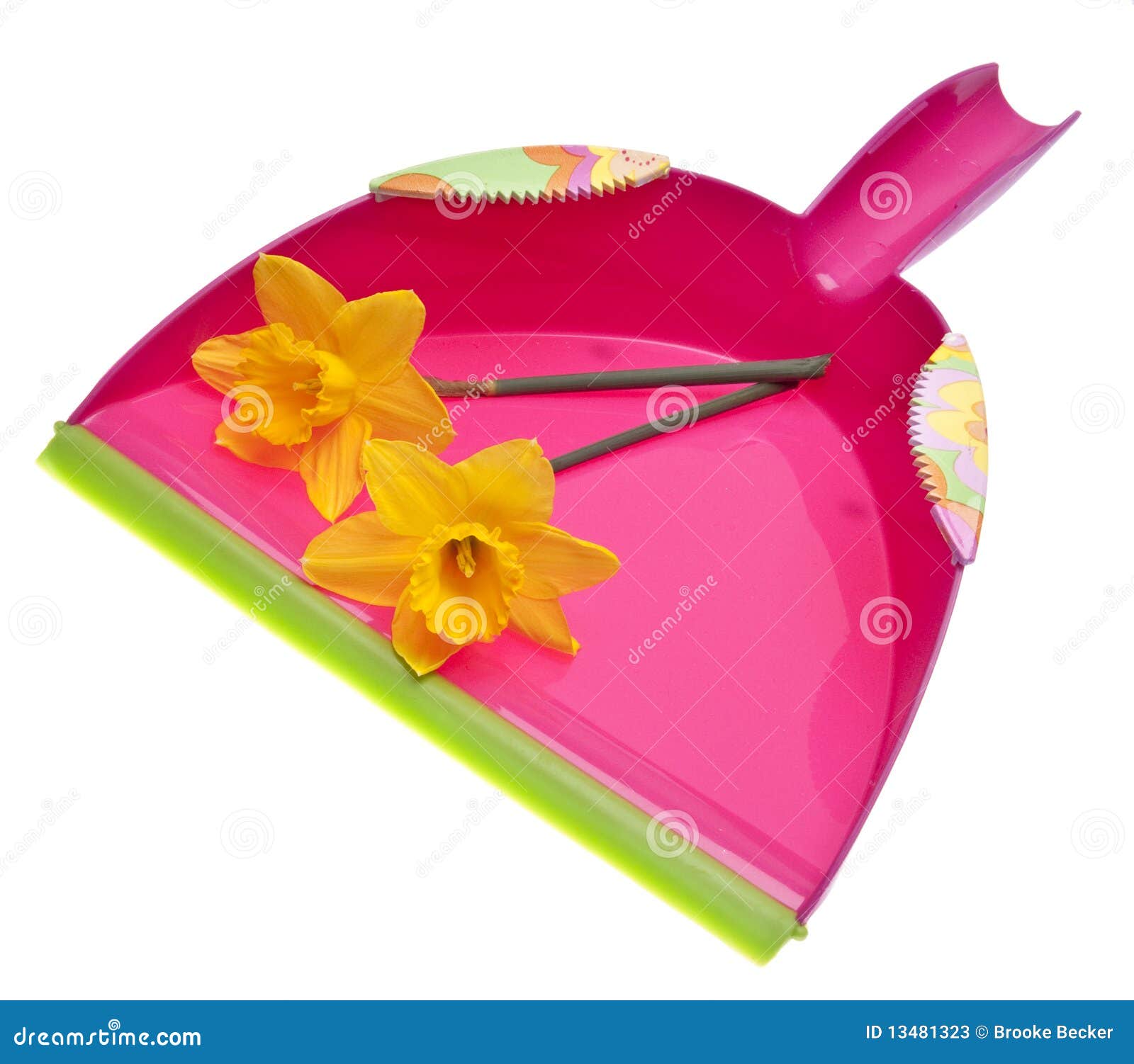 Spring Cleaning stock image. Image of dust, cleaning - 13481323