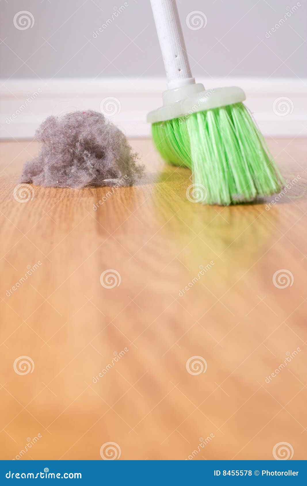 Spring Cleaning stock photo. Image of clean, cleanliness - 8455578