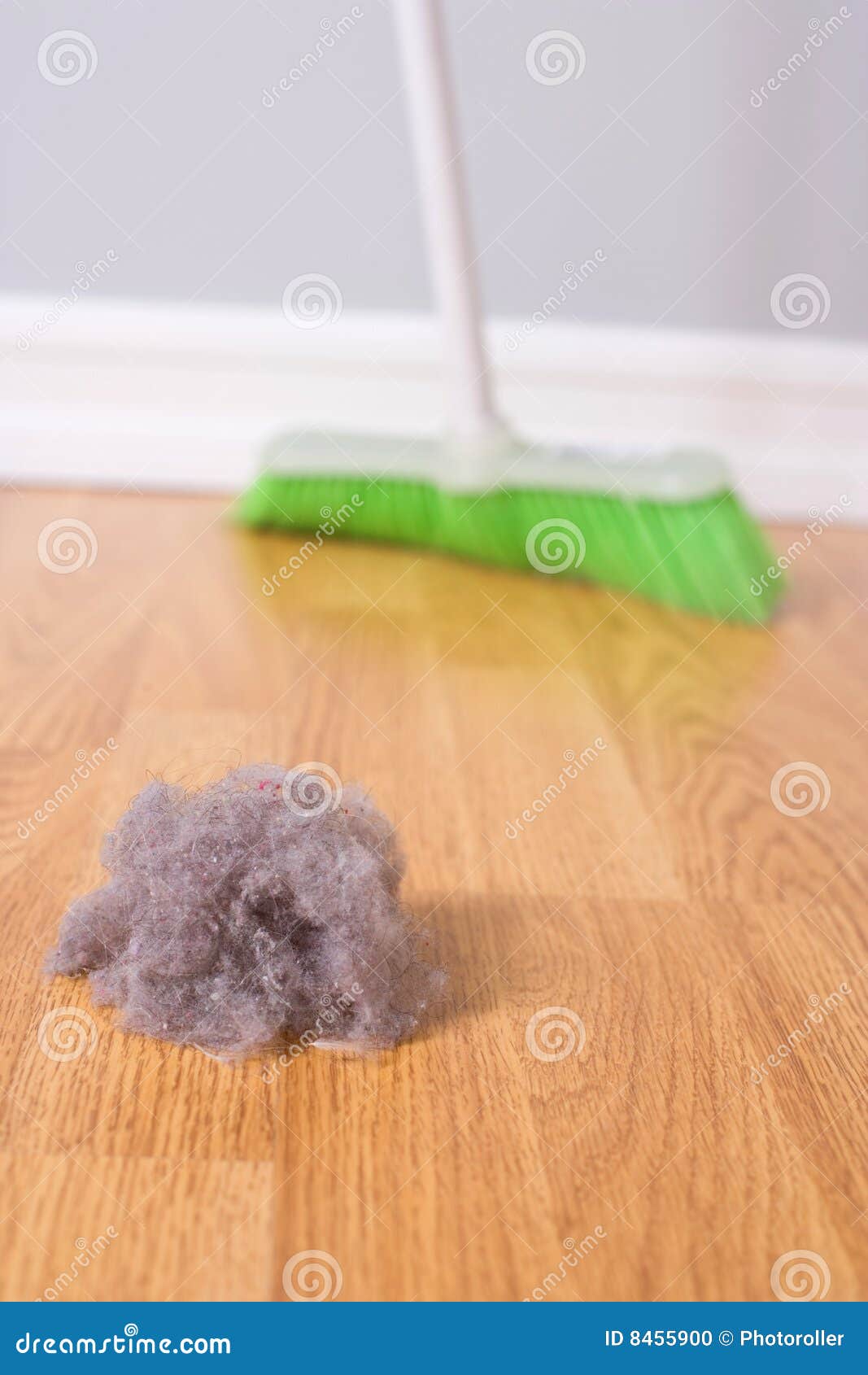 Spring Cleaning stock photo. Image of clean, broom, bristles - 8455900