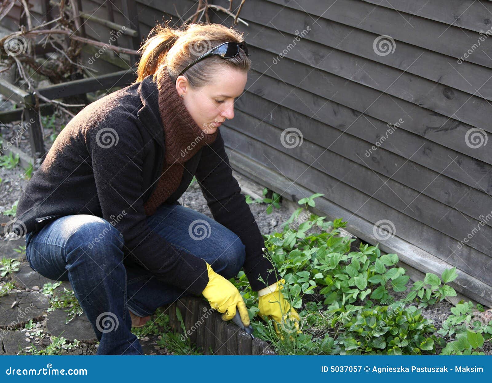 Spring cleaning in garden stock image. Image of grass - 5037057