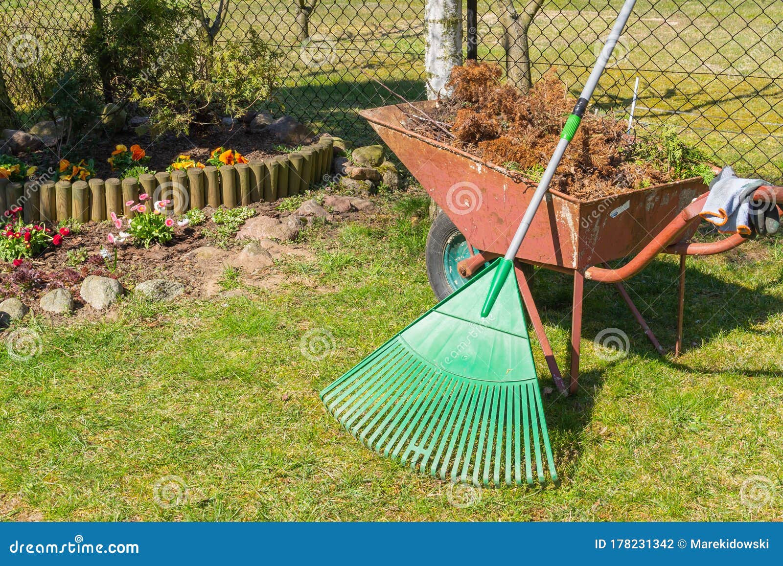 Spring Cleaning in the Garden. Stock Photo - Image of gloves, tree ...