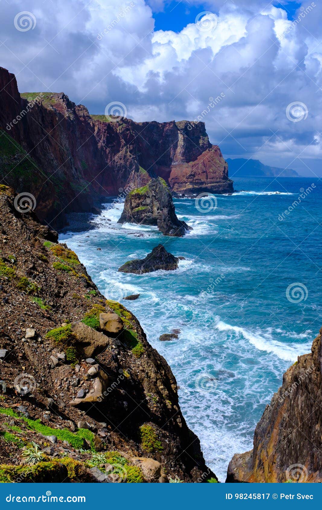 Spring cliffs stock image. Image of view, madeira, spring - 98245817