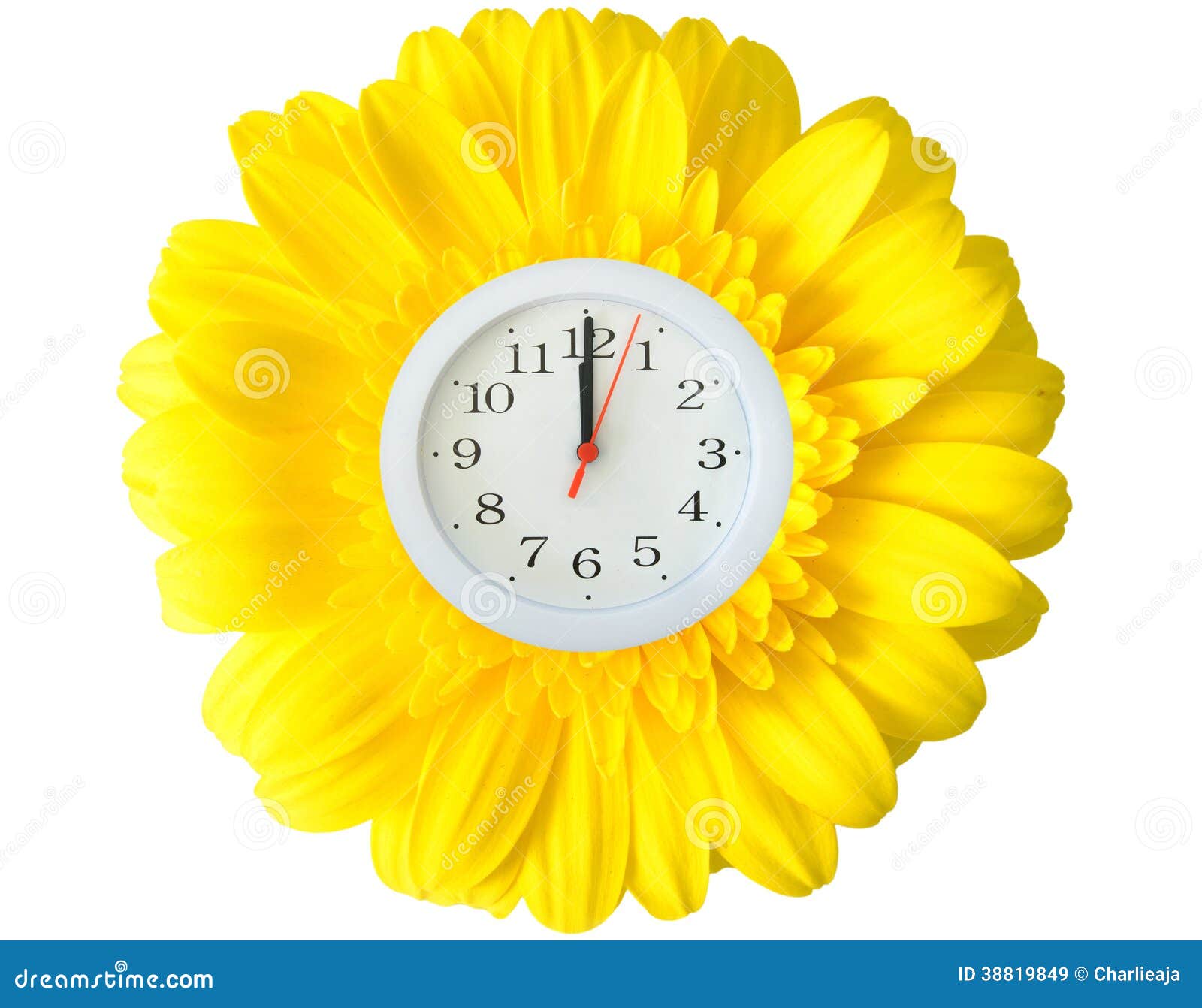 Spring clock stock image. Image of gerbera, metaphor - 38819849