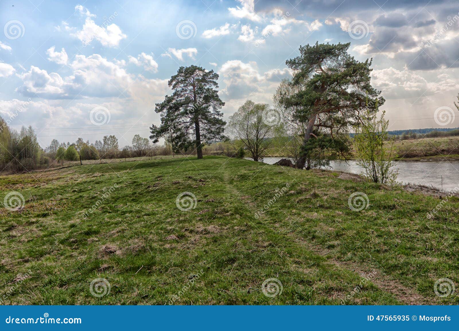 Spring coast stock image. Image of coast, bushes, spring - 47565935