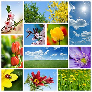 Spring collage stock photo. Image of colorful, nature - 19436782