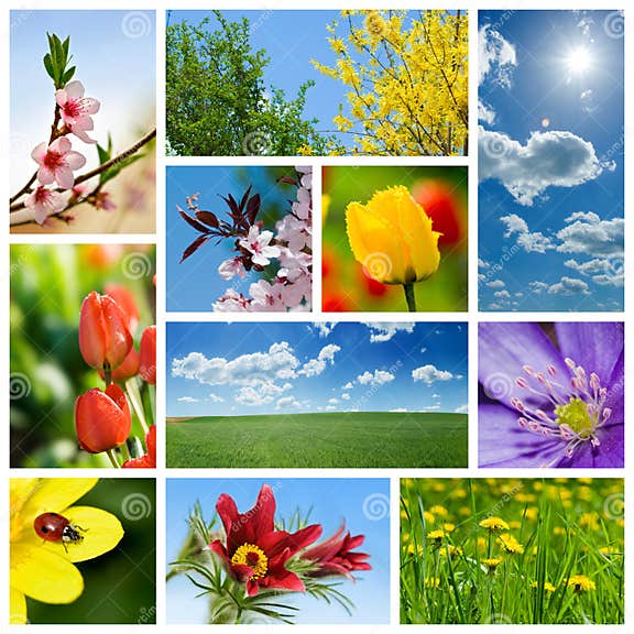 Spring collage stock photo. Image of colorful, nature - 19436782