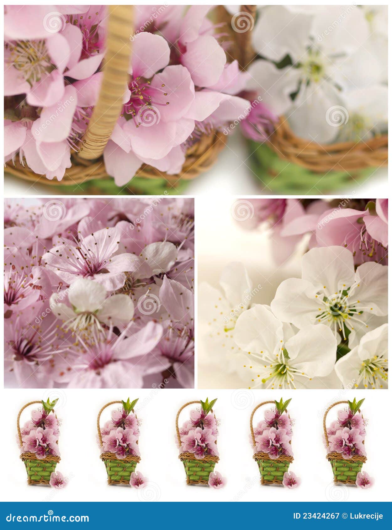 Spring collage stock image. Image of growth, asia, beautiful - 23424267