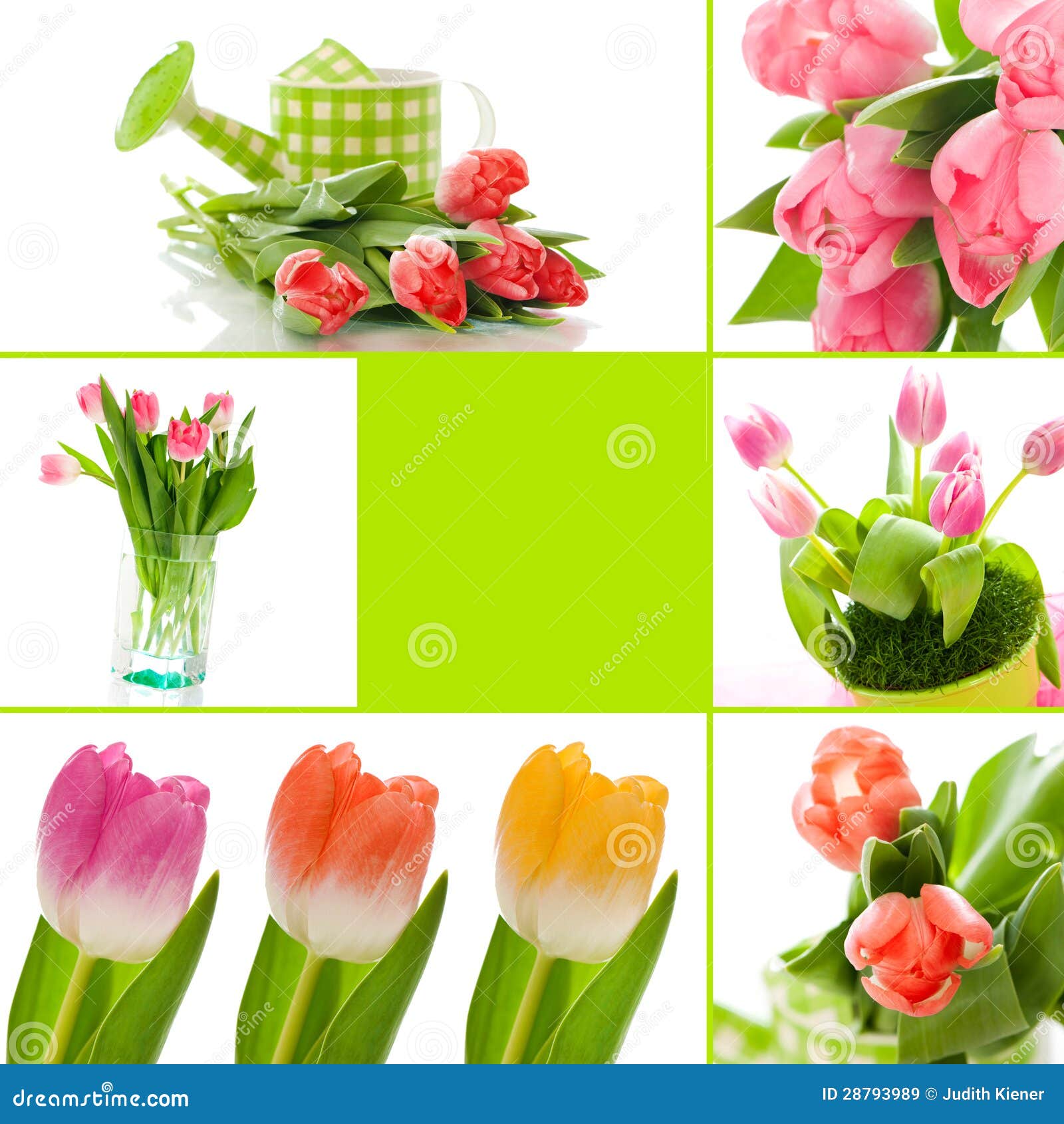 Spring collage stock image. Image of joyful, life, happy - 28793989