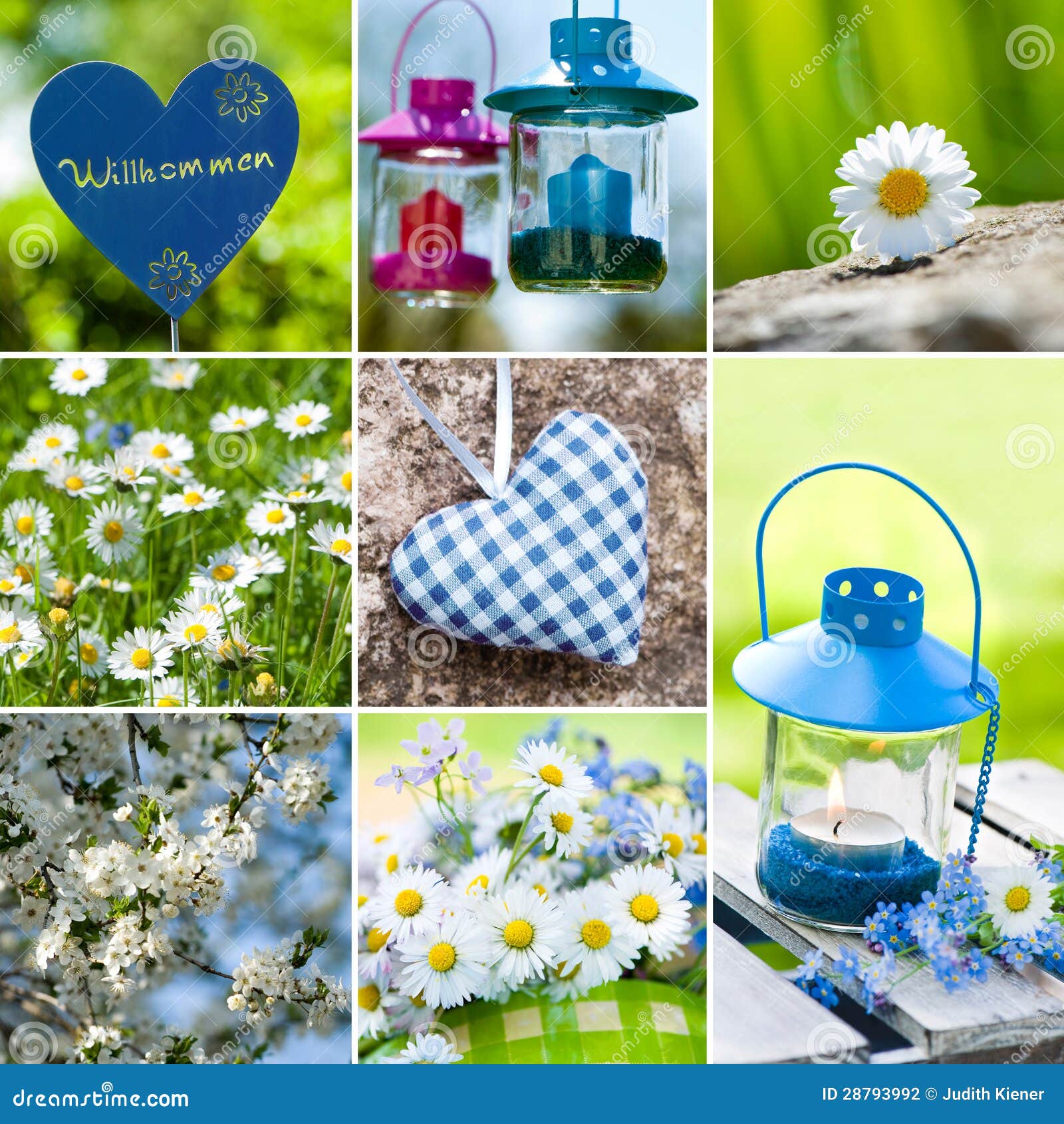 Spring collage stock photo. Image of plant, head, lantern - 28793992