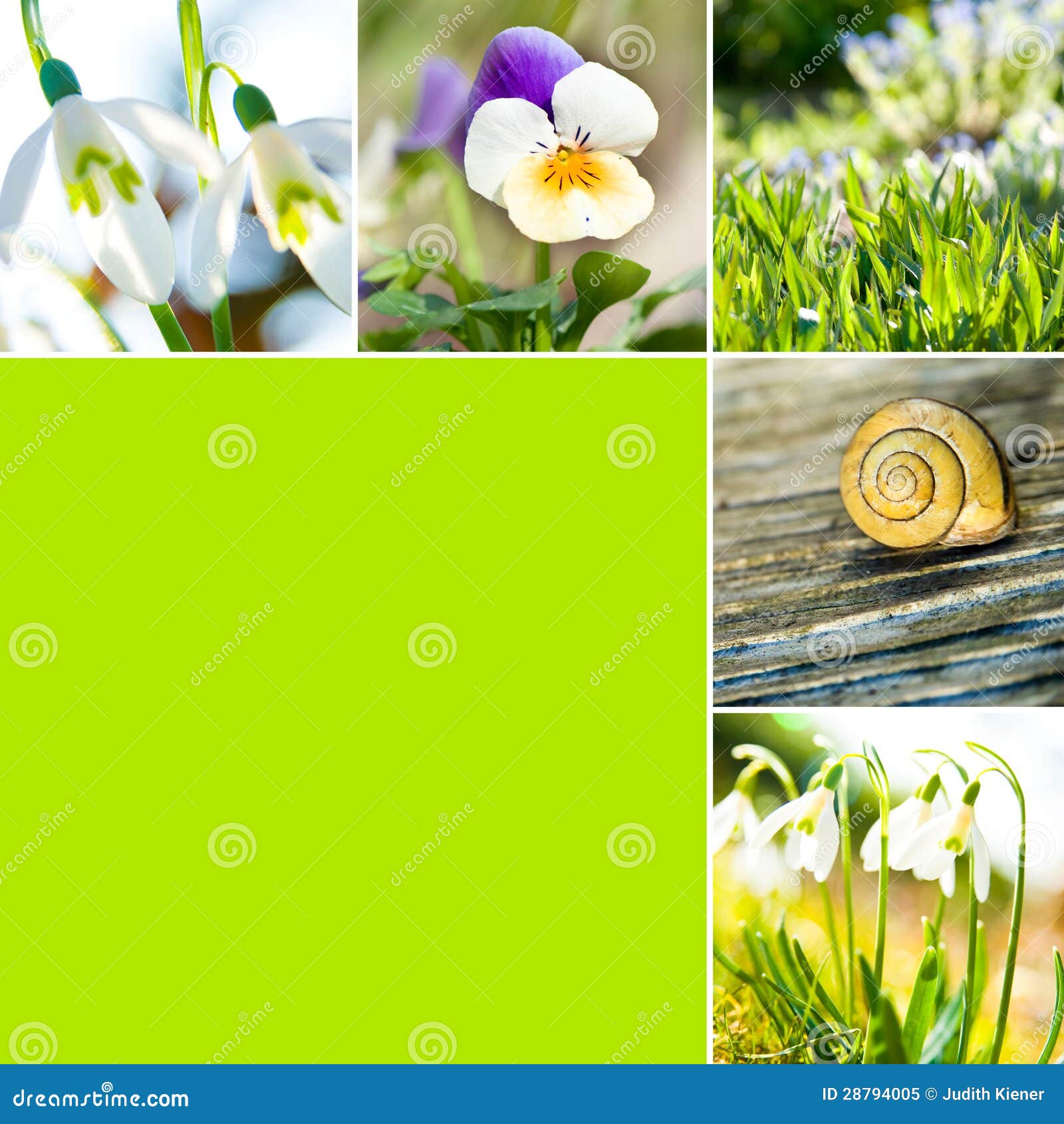 Spring collage stock image. Image of collage, orange - 28794005