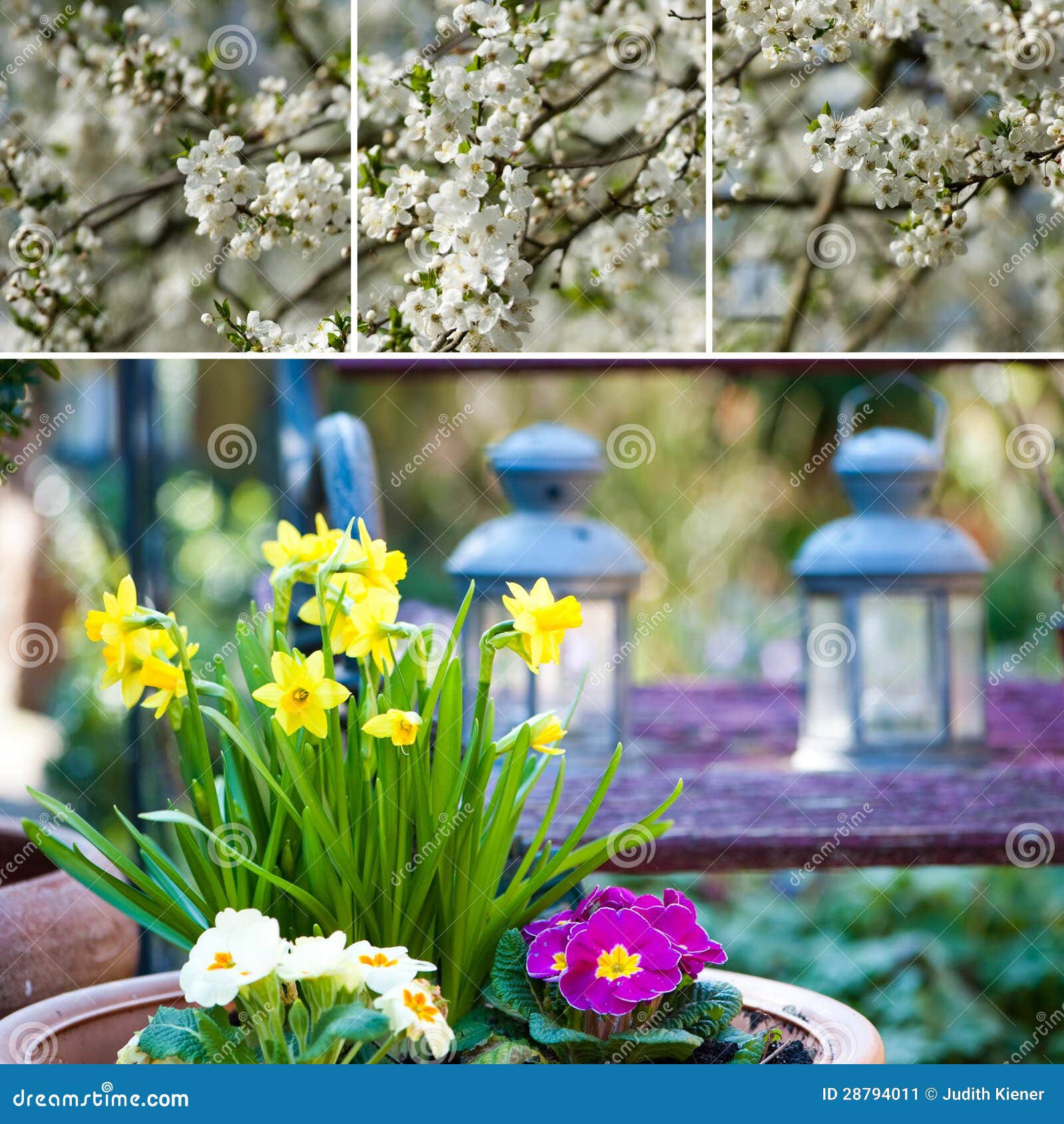Spring collage stock image. Image of beauty, color, garden - 28794011