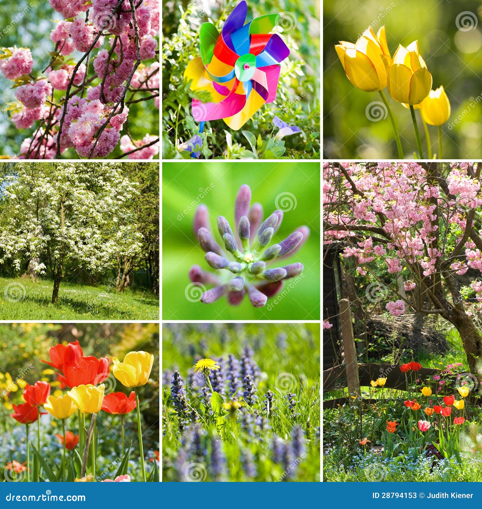 Spring collage stock image. Image of beautiful, growth - 28794153