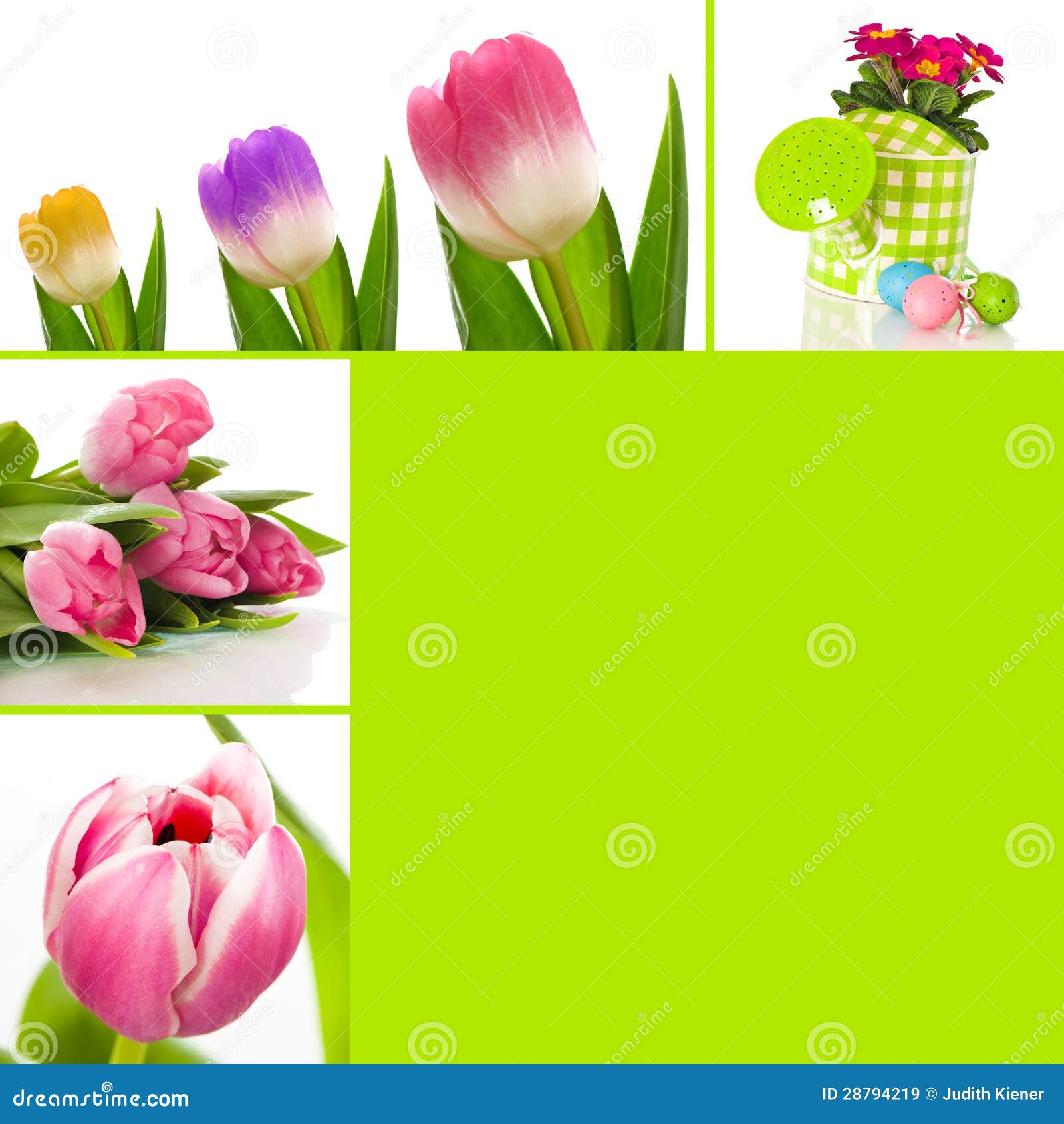 Spring collage stock image. Image of card, greeting, bouquet - 28794219