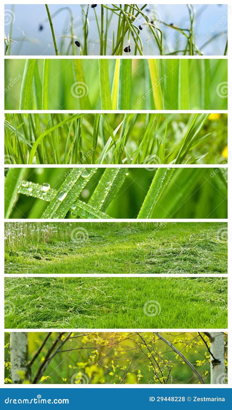 Spring collage stock photo. Image of forest, beautiful - 29448228