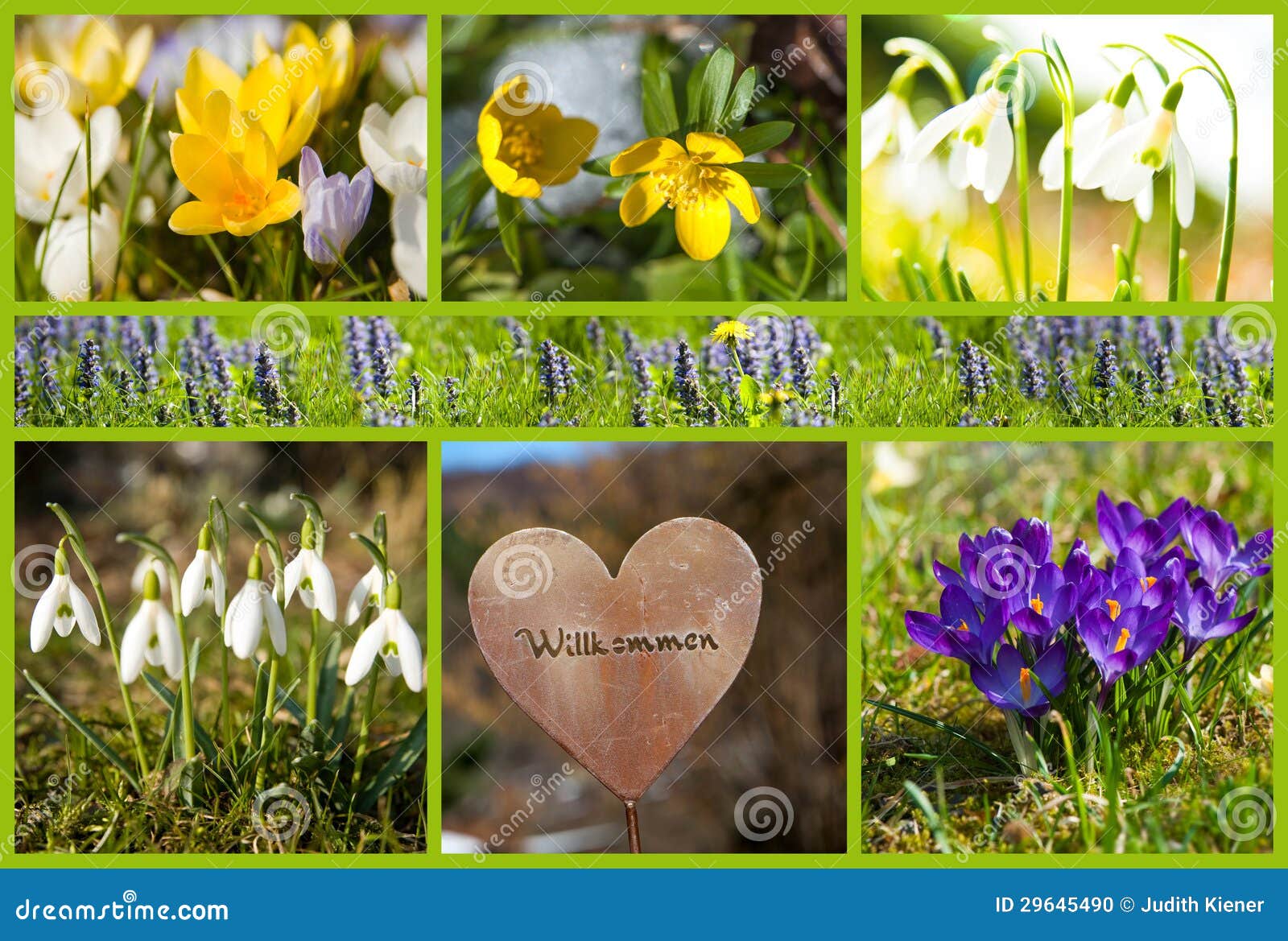 Spring collage stock photo. Image of framing, gardener - 29645490