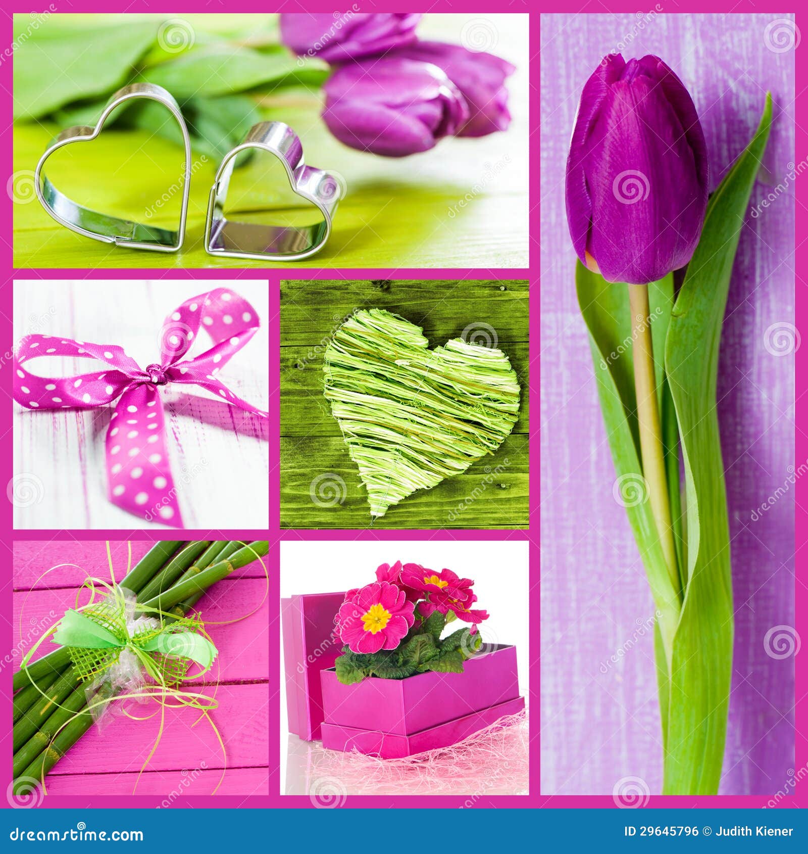 Spring collage stock photo. Image of elegance, hobby - 29645796