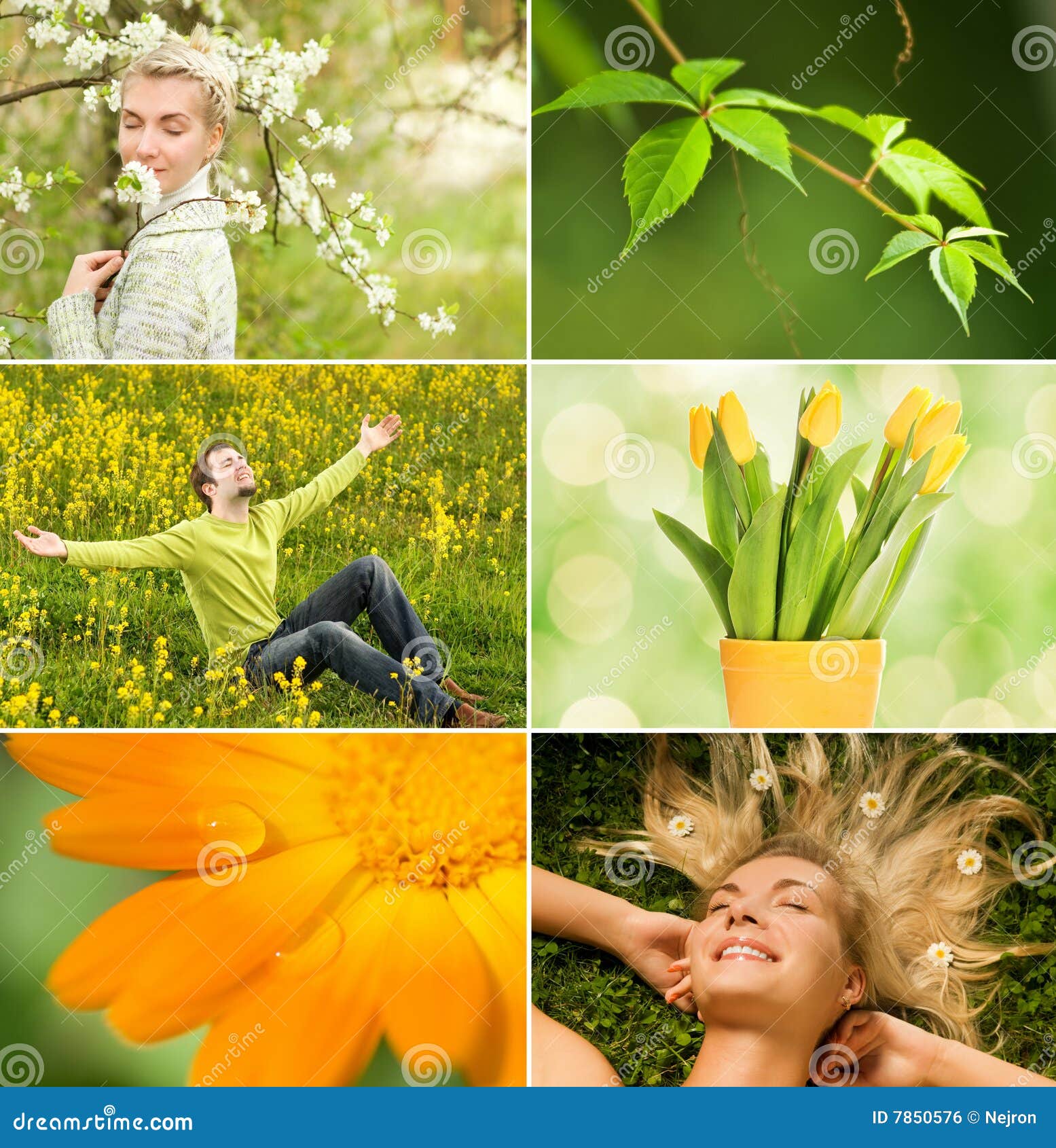 Spring collage stock photo. Image of design, season, foliage - 7850576