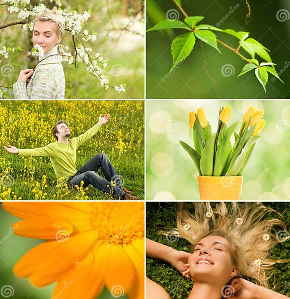 Spring collage stock photo. Image of design, season, foliage - 7850576