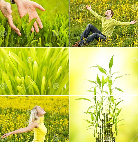 Spring collage stock image. Image of design, bright, flora - 8994573