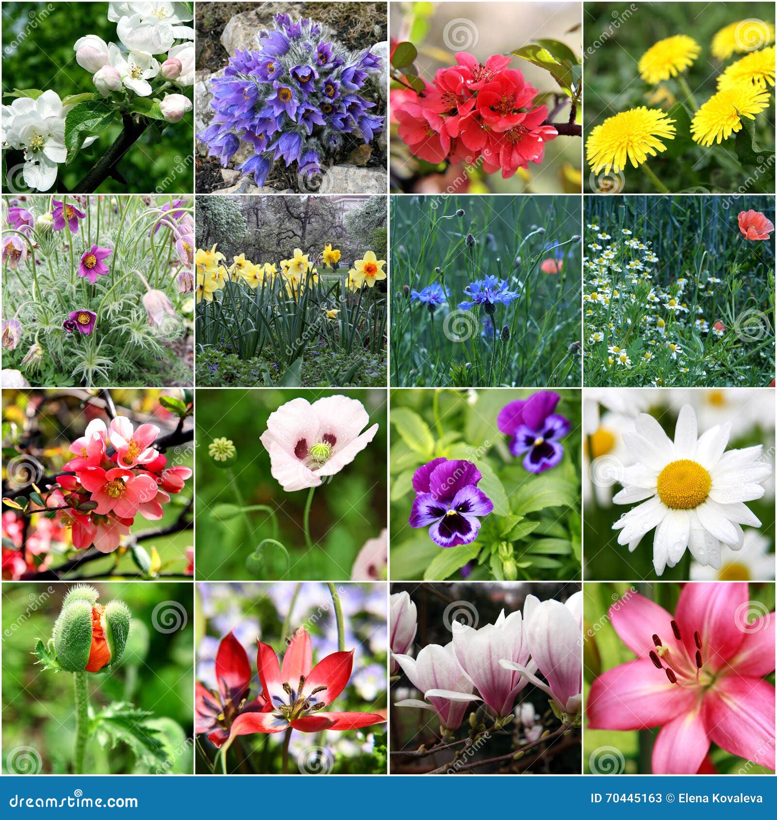 Spring Collage Stock Photo | CartoonDealer.com #29448228