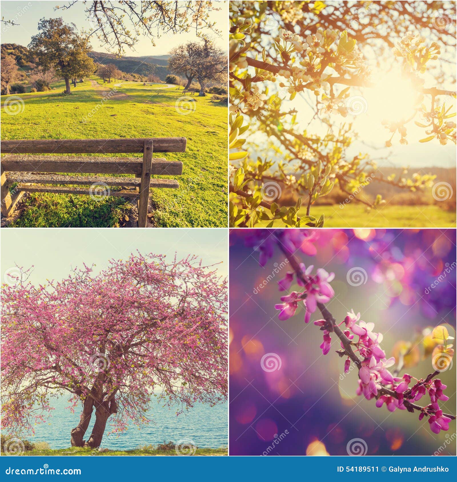 Spring collage stock image. Image of meadow, backdrop - 54189511