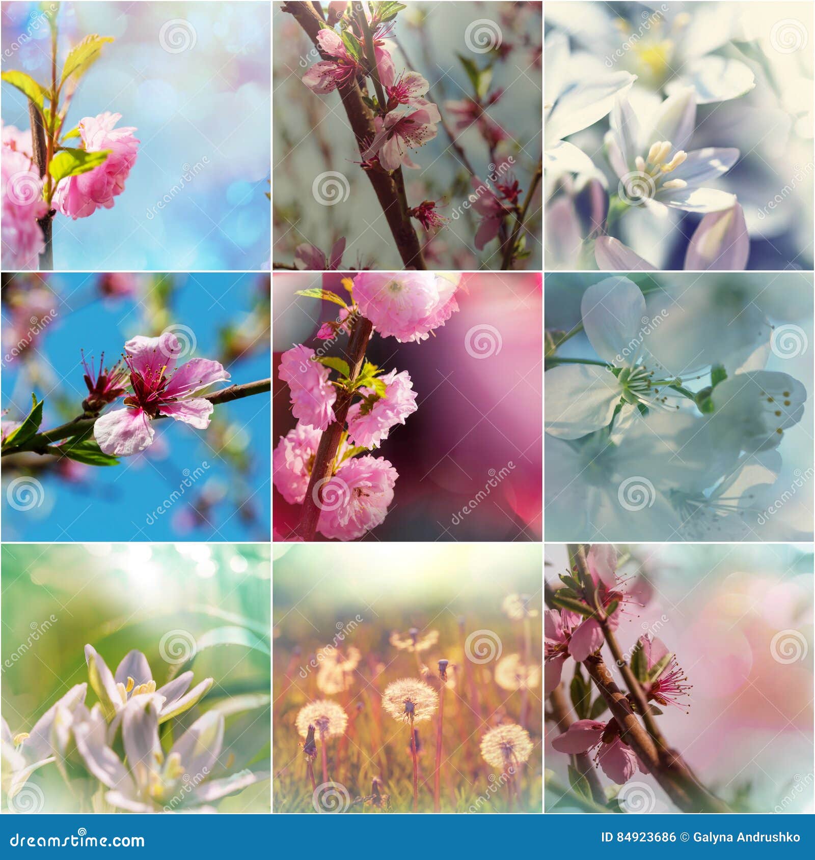 Spring collage stock photo. Image of easter, outdoors - 84923686