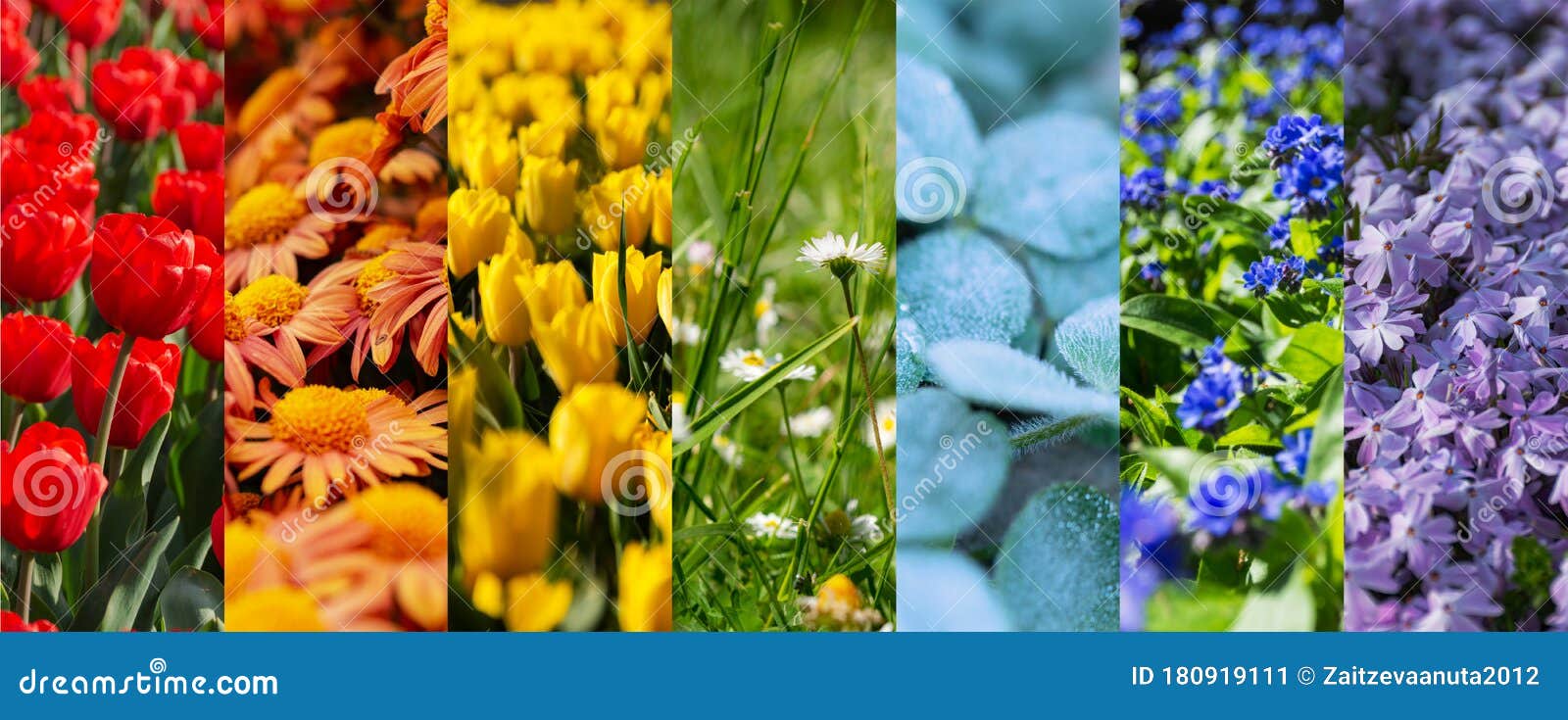 Spring Collage-rainbow of Flowers. Beautiful Multi-colored Design Stock ...