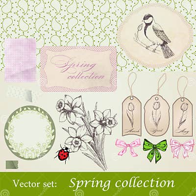 Spring collection stock vector. Illustration of scrap - 23528322