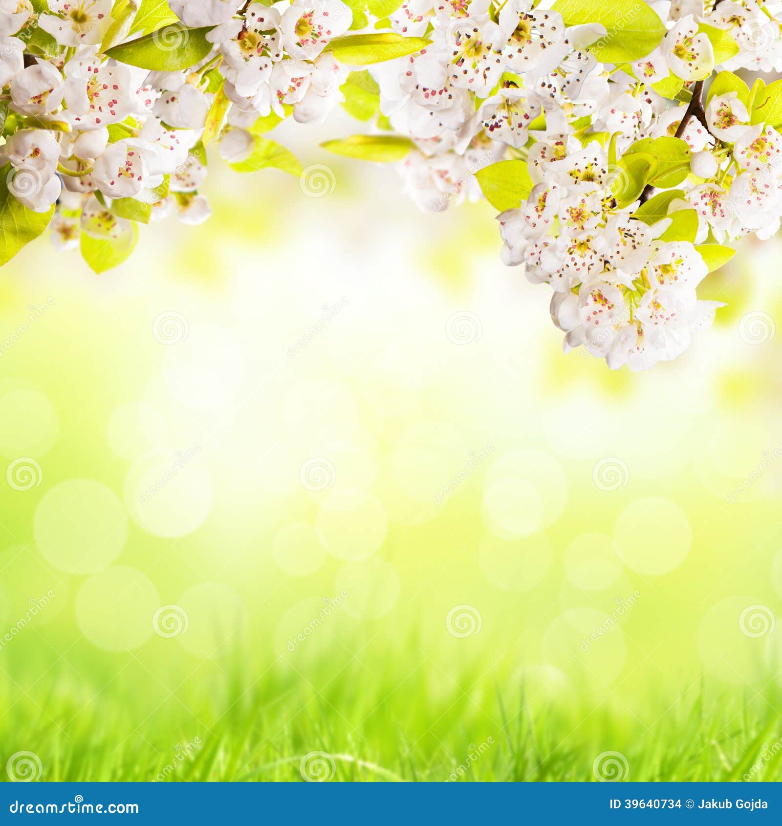 Spring stock illustration. Illustration of freshness - 39640734