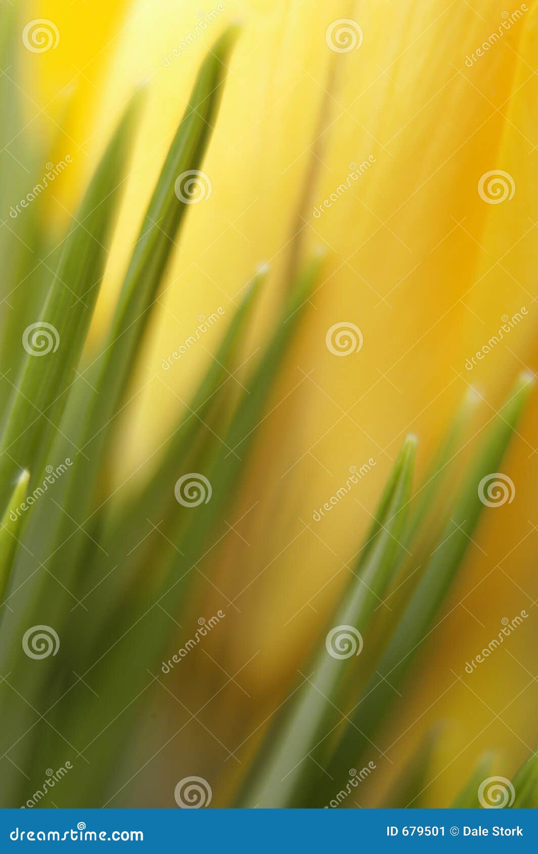 Spring color stock image. Image of background, yellow, green - 679501