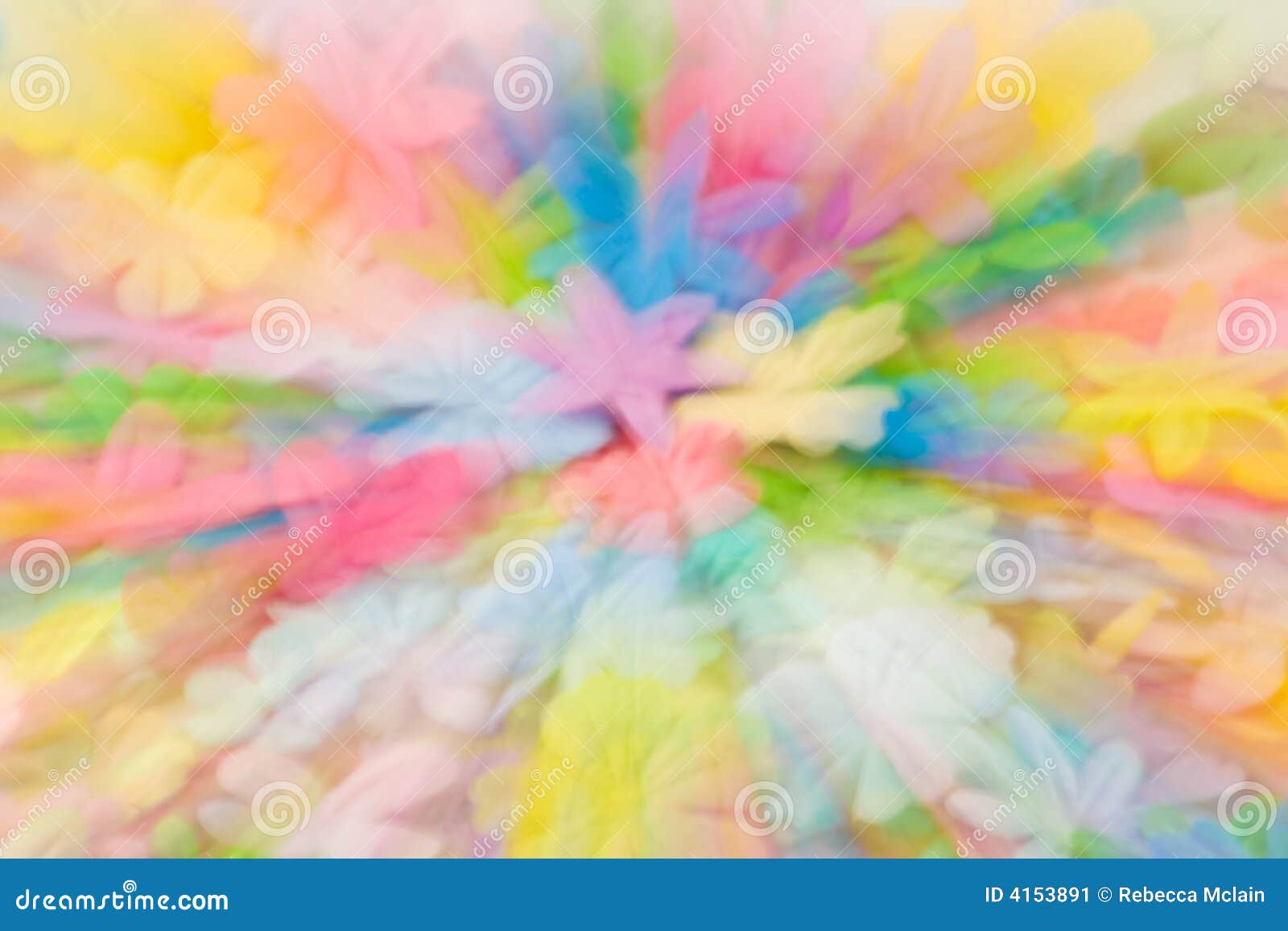 Spring colored flowers stock image. Image of blue, pretty - 4153891